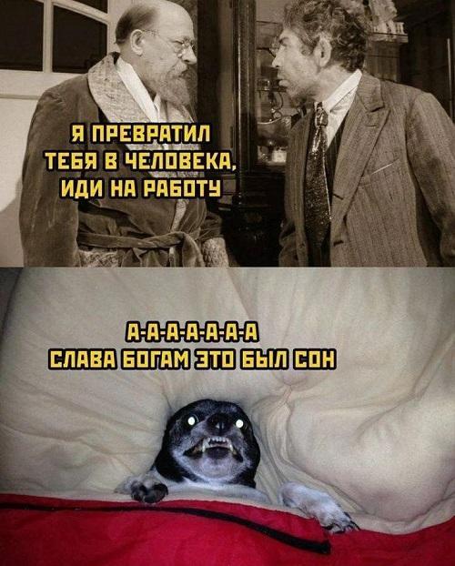 Подборка самых смешных мемов